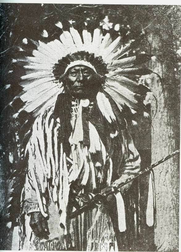 Tribal Chief White Bull